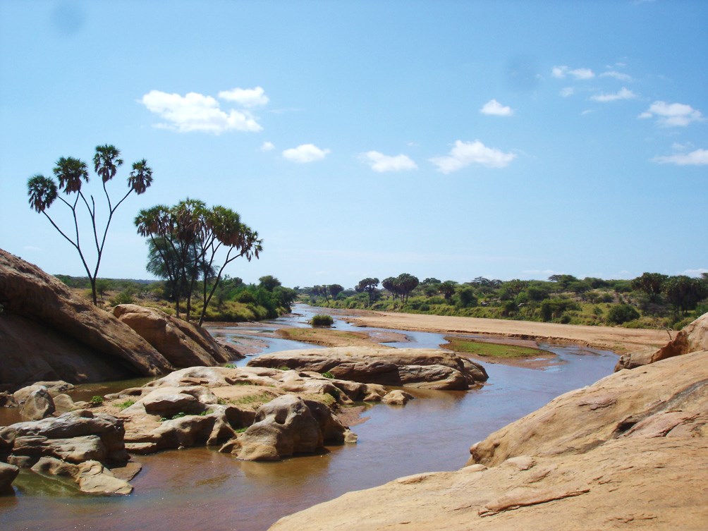 | 14 day Tembo Safari | Two week Safari in Kenya