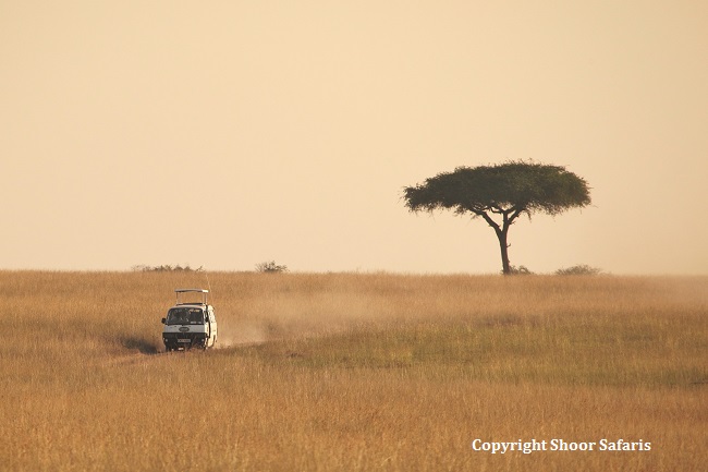 About Us: Reviews & Mentions of Shoor Safaris, a Safari Tour Company in ...